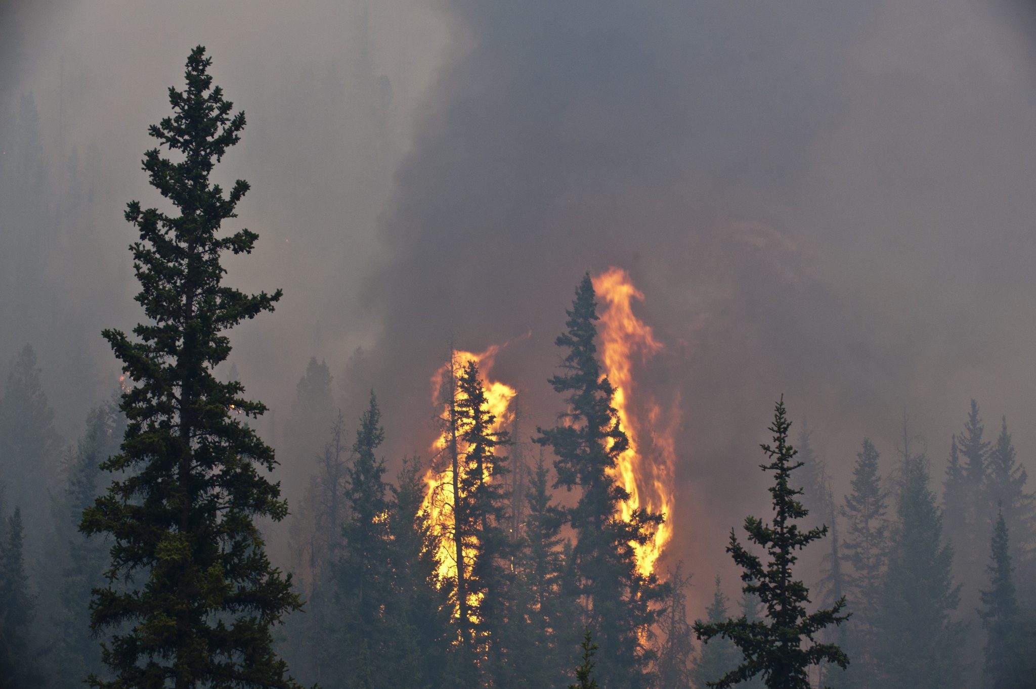 Natural disturbances - Canadian Council of Forest Ministers (CCFM)
