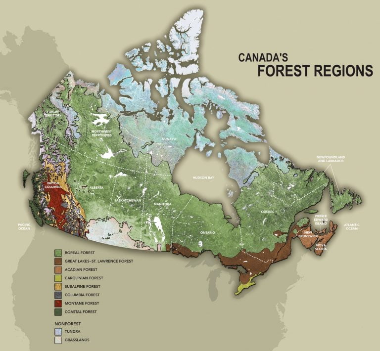 Vast and abundant forests - Canadian Council of Forest Ministers (CCFM)