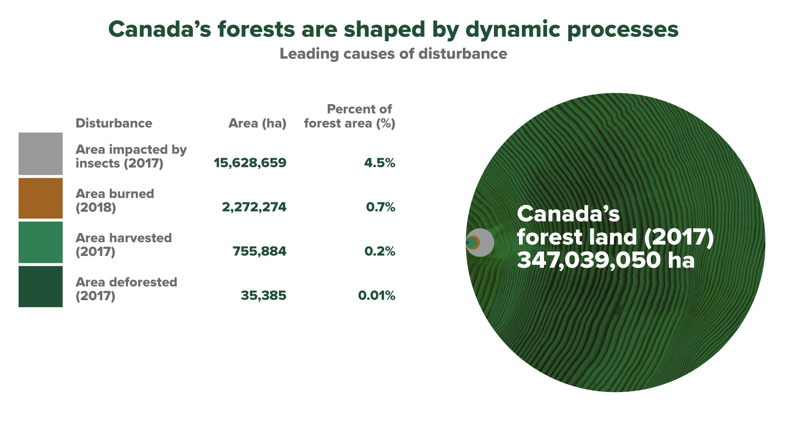 Natural disturbances - Canadian Council of Forest Ministers (CCFM)