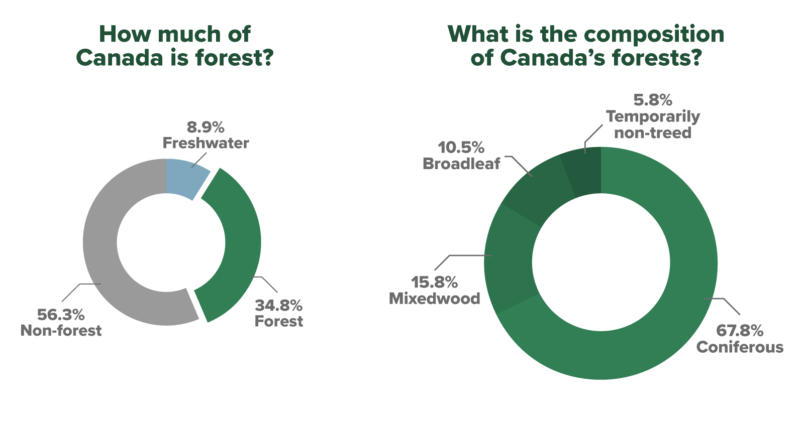 Vast and abundant forests - Canadian Council of Forest Ministers (CCFM)